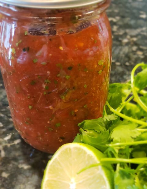 Shortcut Salsa - Big Fat Skinny Dish